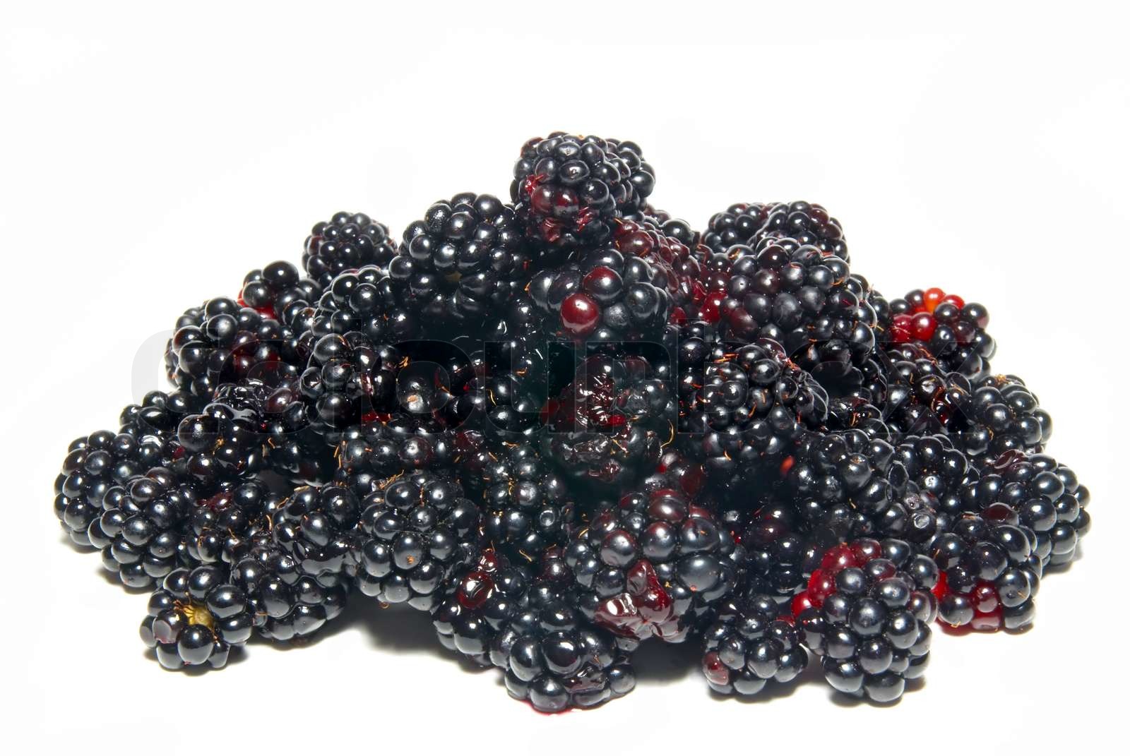Pile of fresh blackberries isolated on white. | Stock image | Colourbox