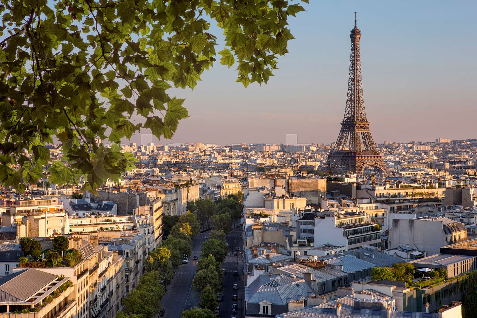 Eiffel tower view from the arc de triomphe in Paris, France | Stock image | Colourbox