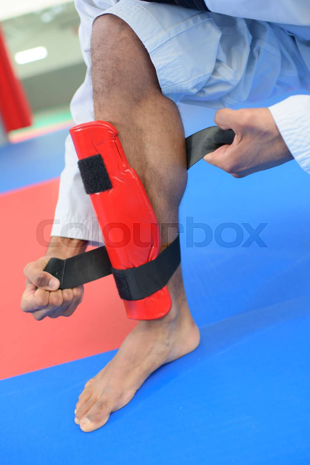 Martial artist attaching leg guard | Stock image | Colourbox