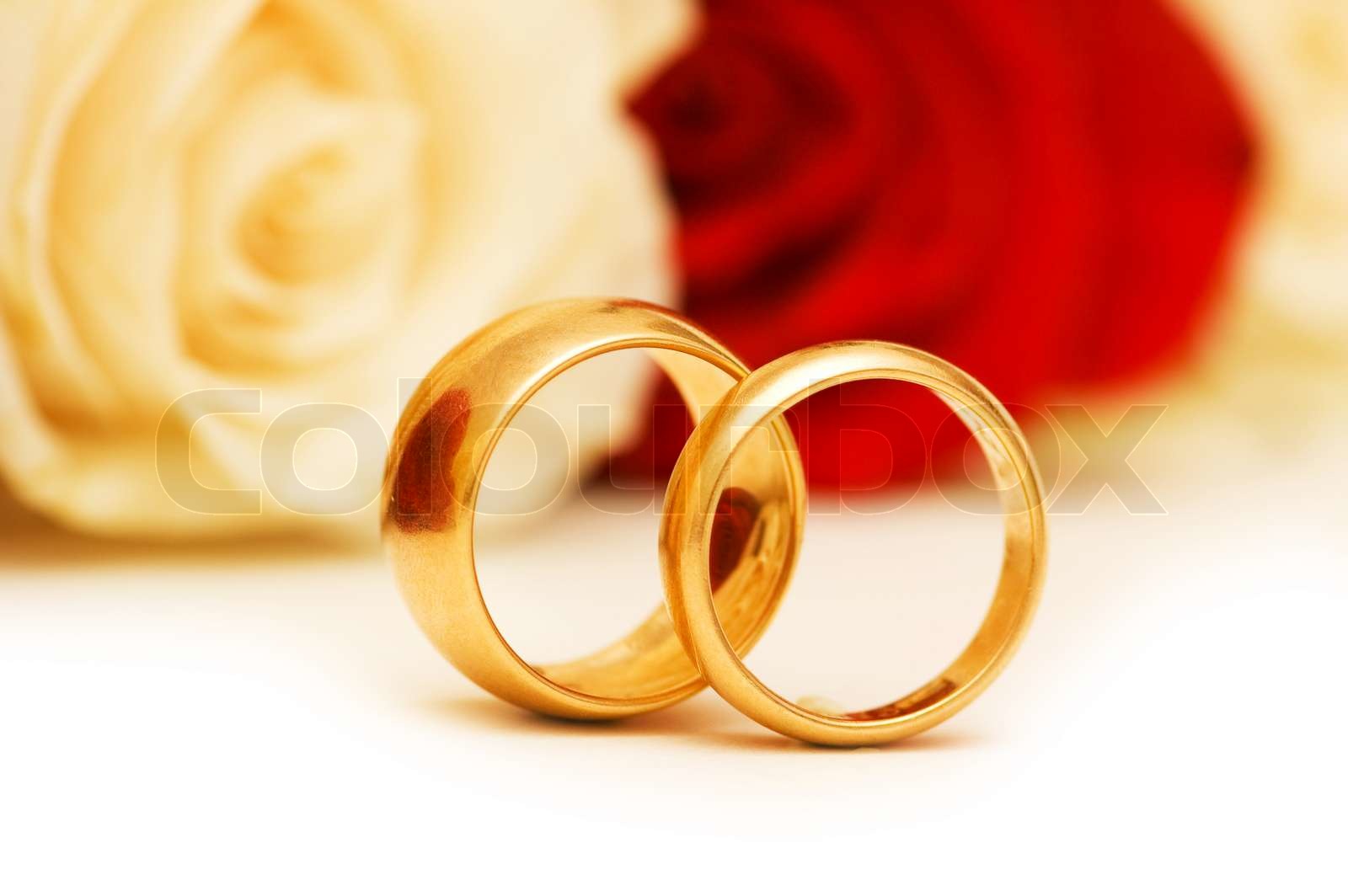 Bryllup koncept med roser og gyldne ringe | Stock foto | Colourbox