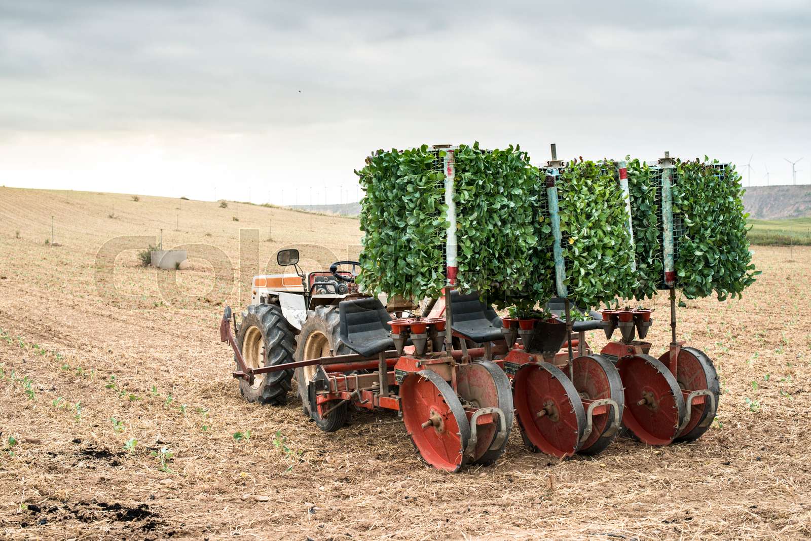 Planting seedlings machine | Stock image | Colourbox