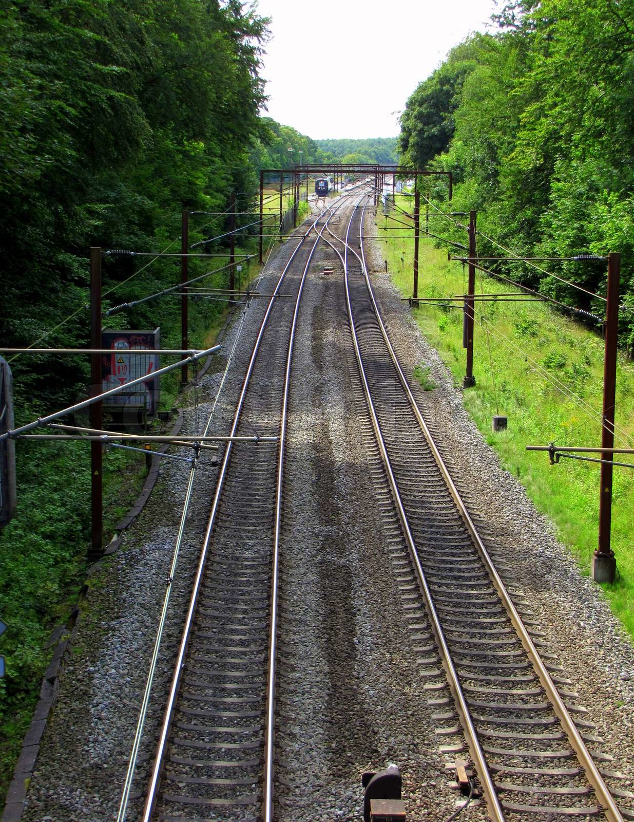 Railroad tracks in a forest, seen from above. | Stock foto | Colourbox