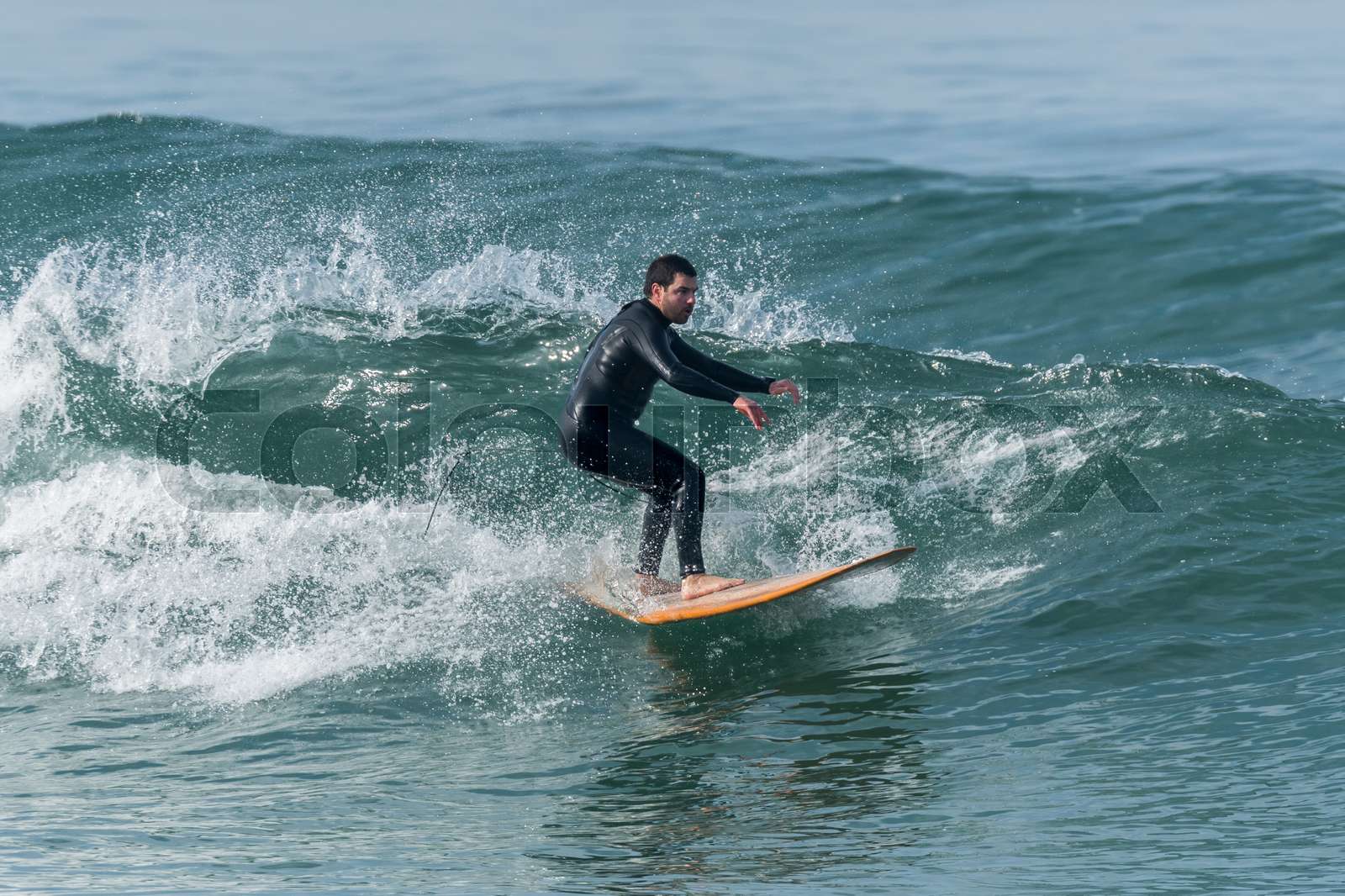 Surfing the waves | Stock image | Colourbox