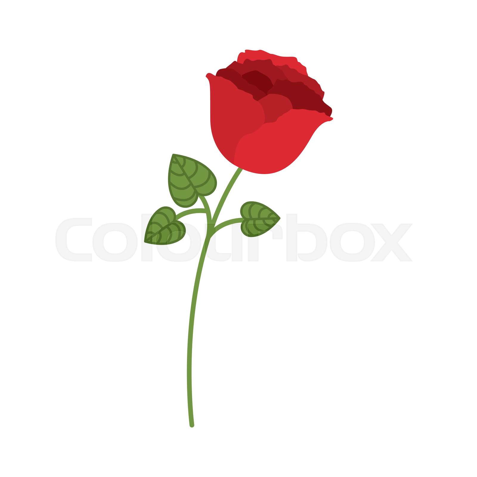 red rose icon | Stock vector | Colourbox
