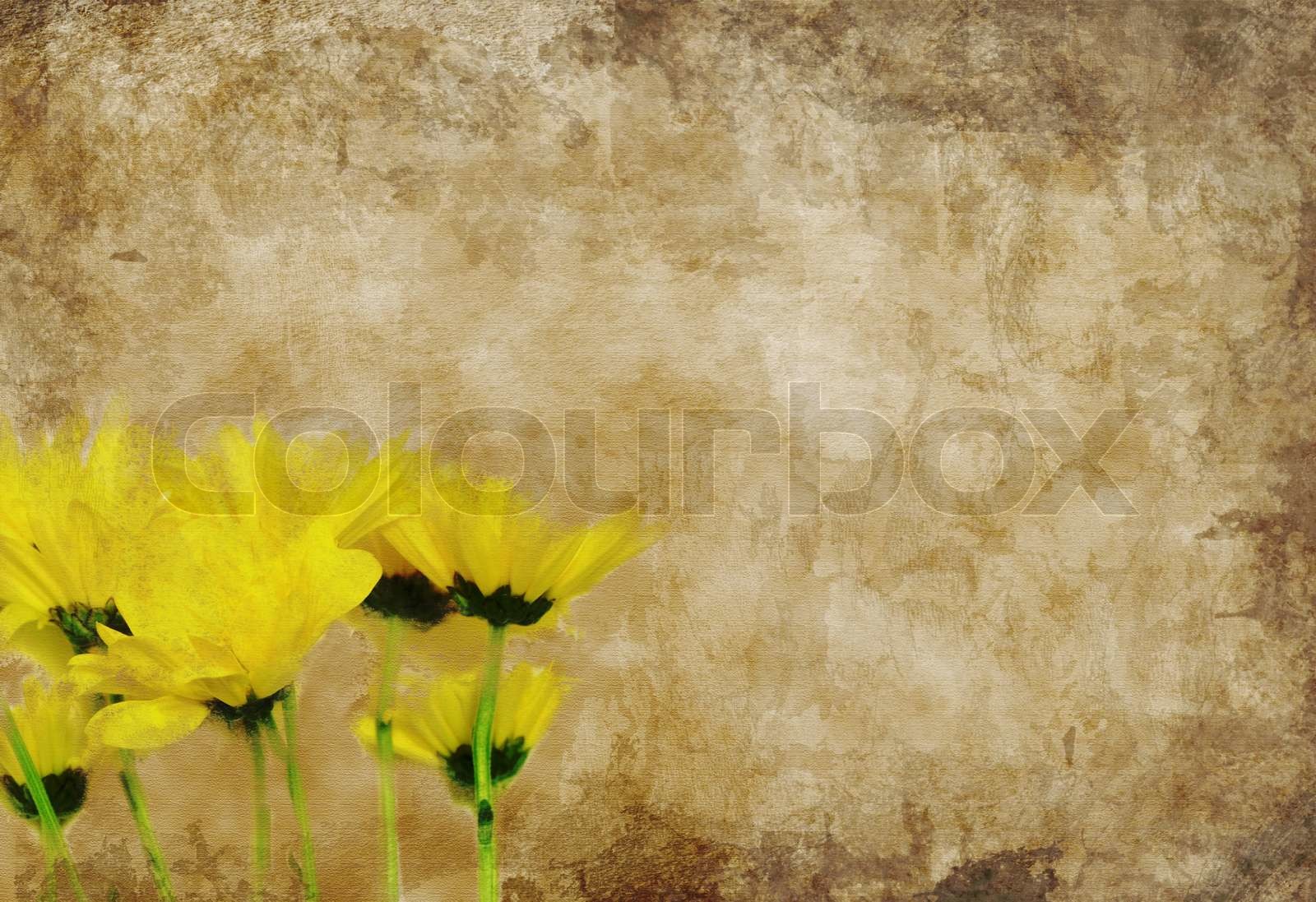 Textured Look Gul Blomster Baggrund | Stock foto | Colourbox