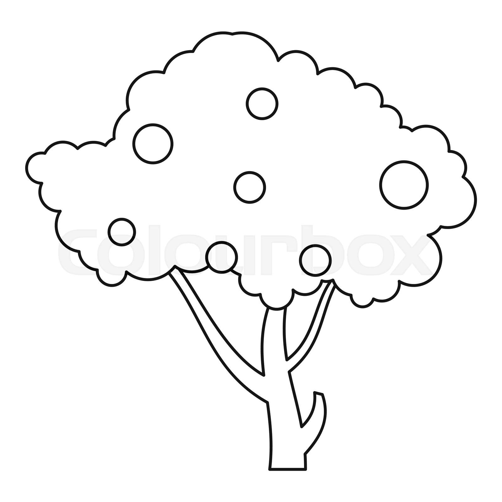 apfel, baum, kontur | Stock-Vektor | Colourbox