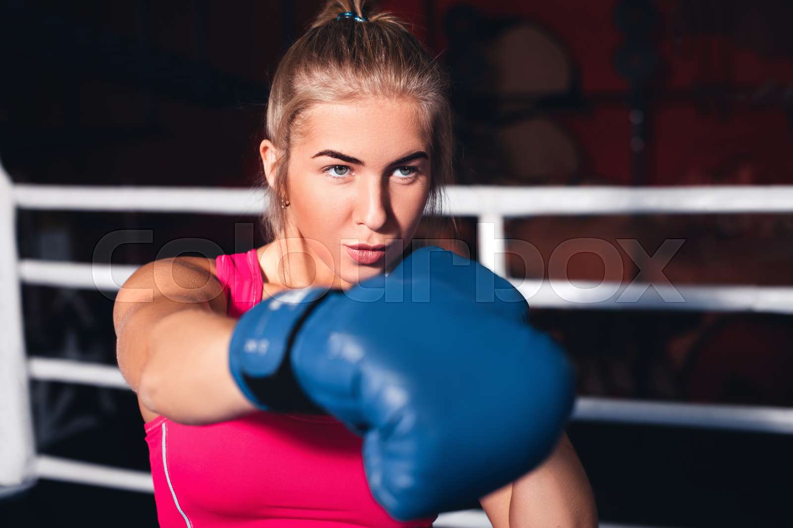 Woman boxing | Stock image | Colourbox