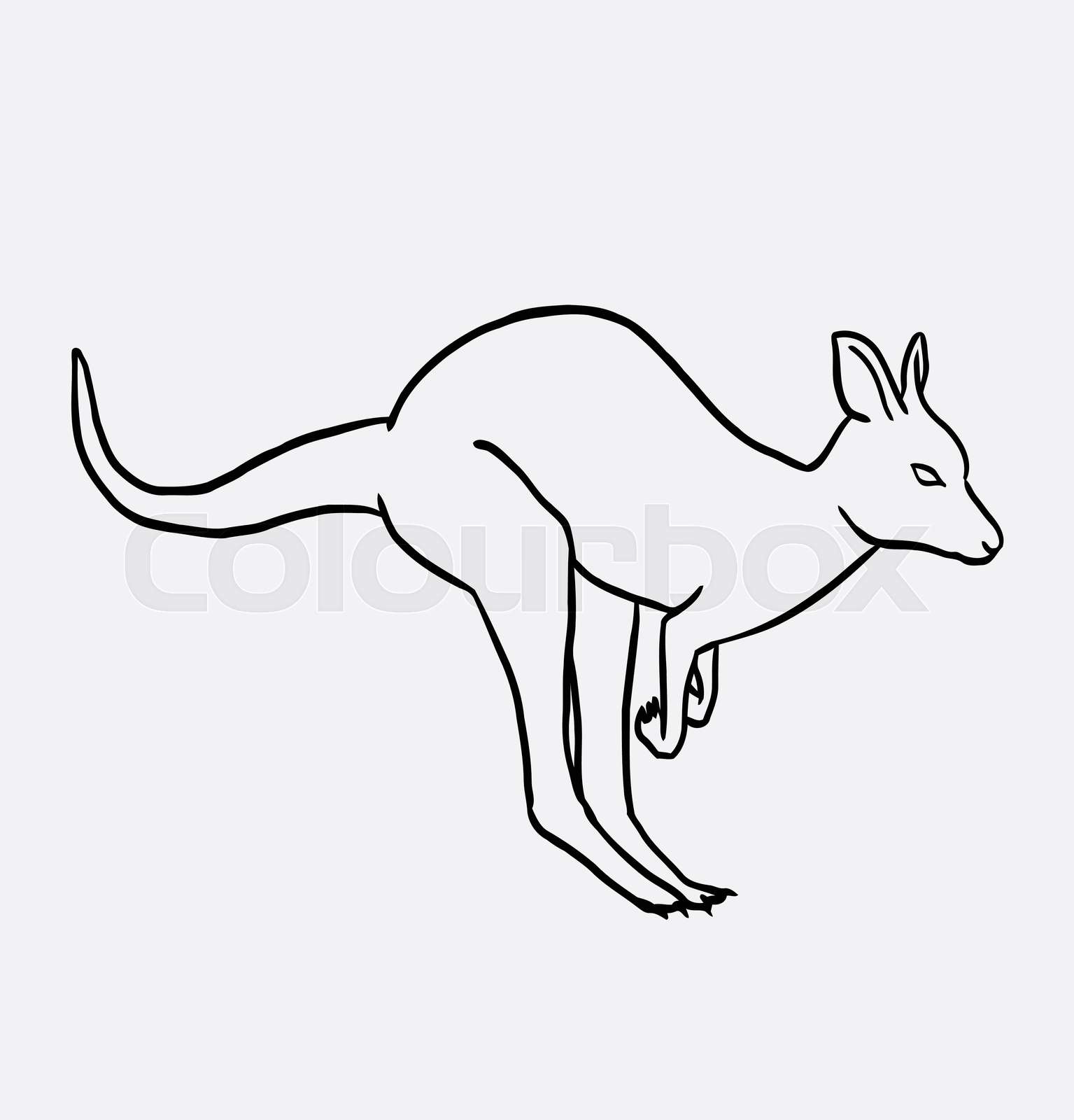 Kangaroo animal sketch | Stock vector | Colourbox