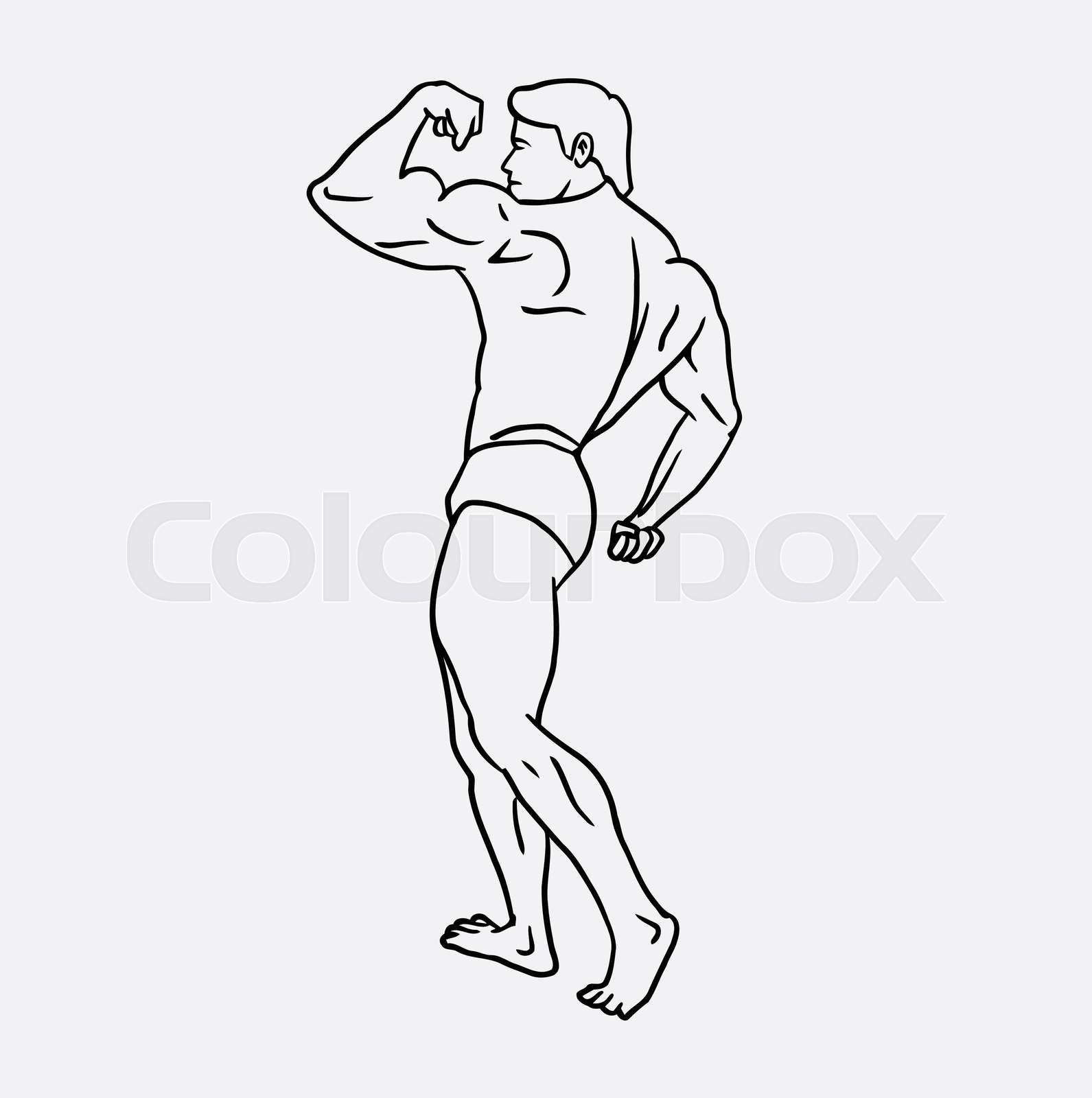 Body builder sketch | Stock vector | Colourbox