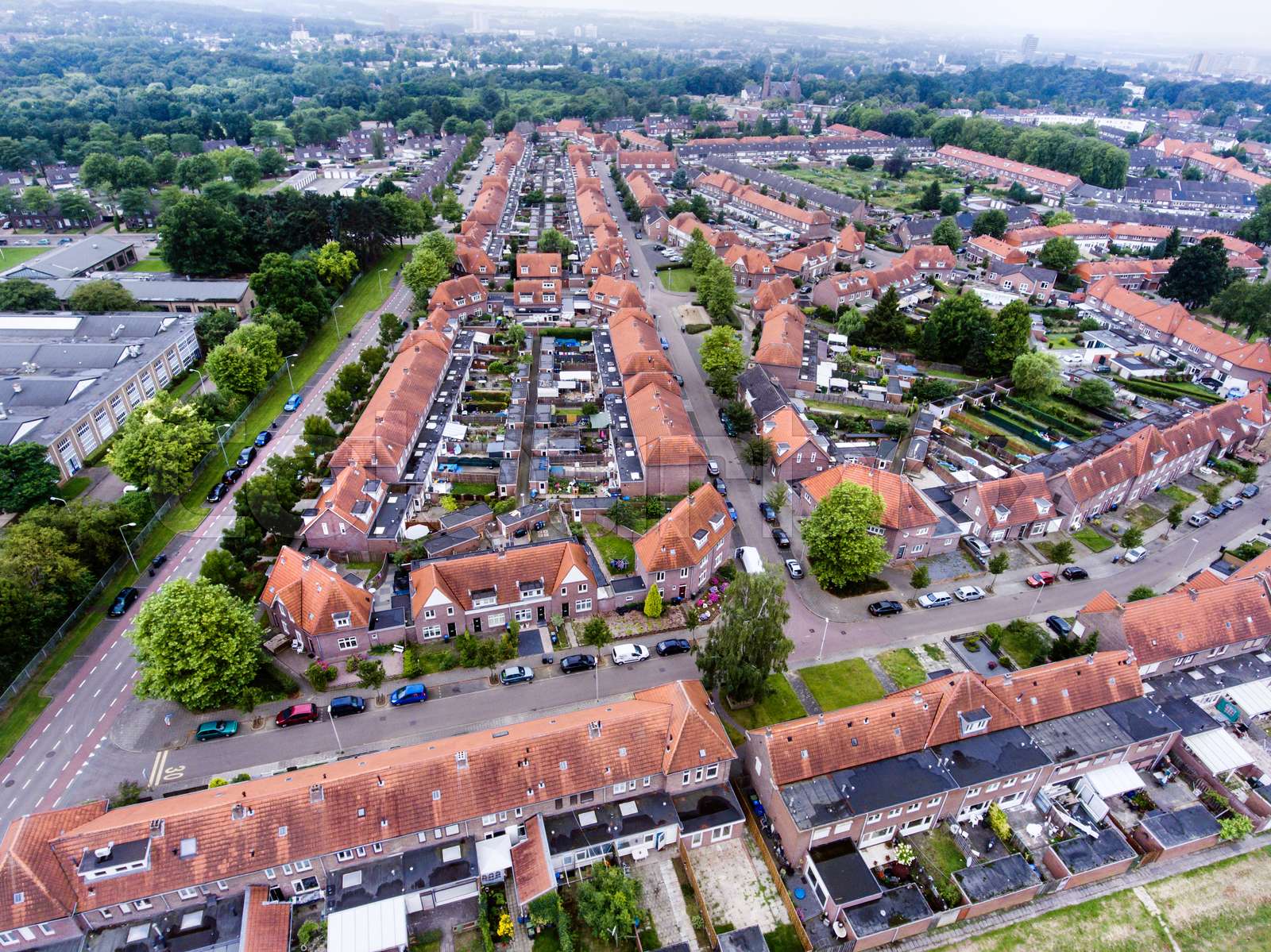 Aerial view of family houses of Dutch town | Stock image | Colourbox