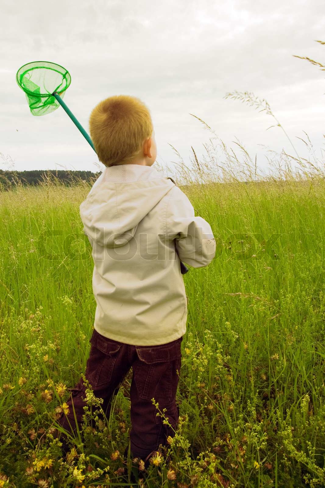 butterfly hunter | Stock image | Colourbox