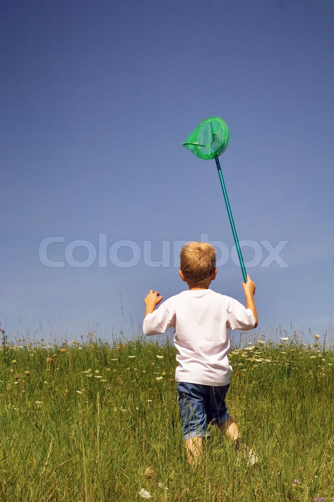 butterfly hunter in the nature | Stock image | Colourbox