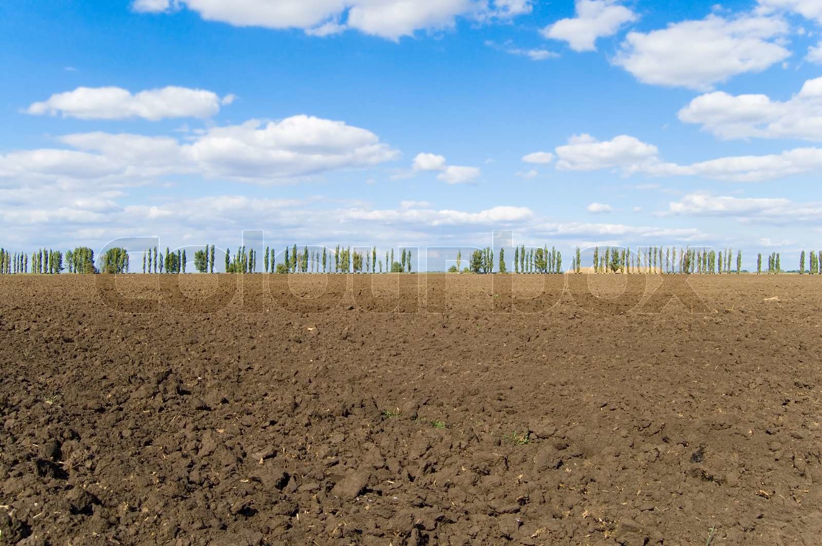 rural view after harvesting on plough-land | Stock image | Colourbox
