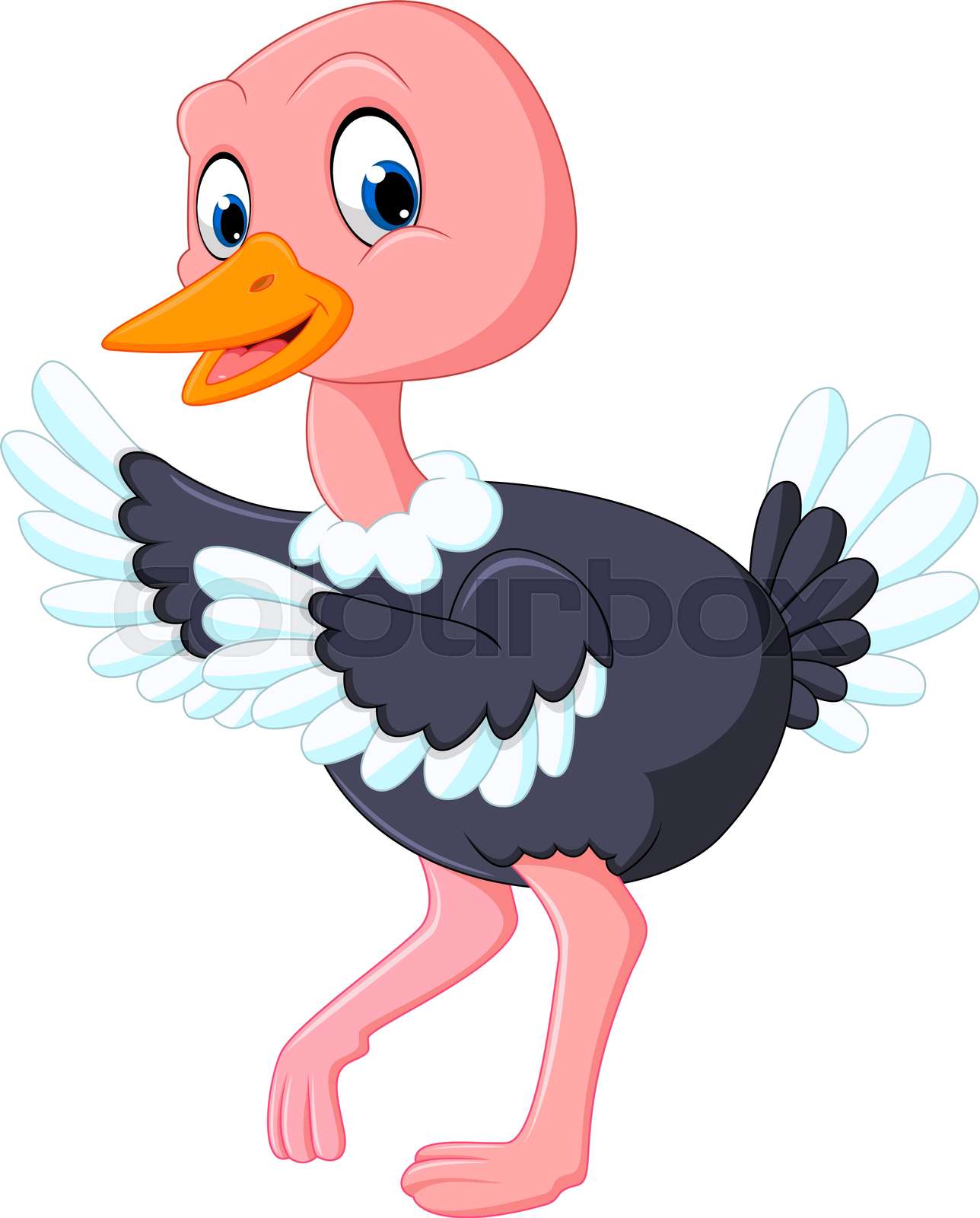 cartoon, strauß, schönheit | Stock-Vektor | Colourbox