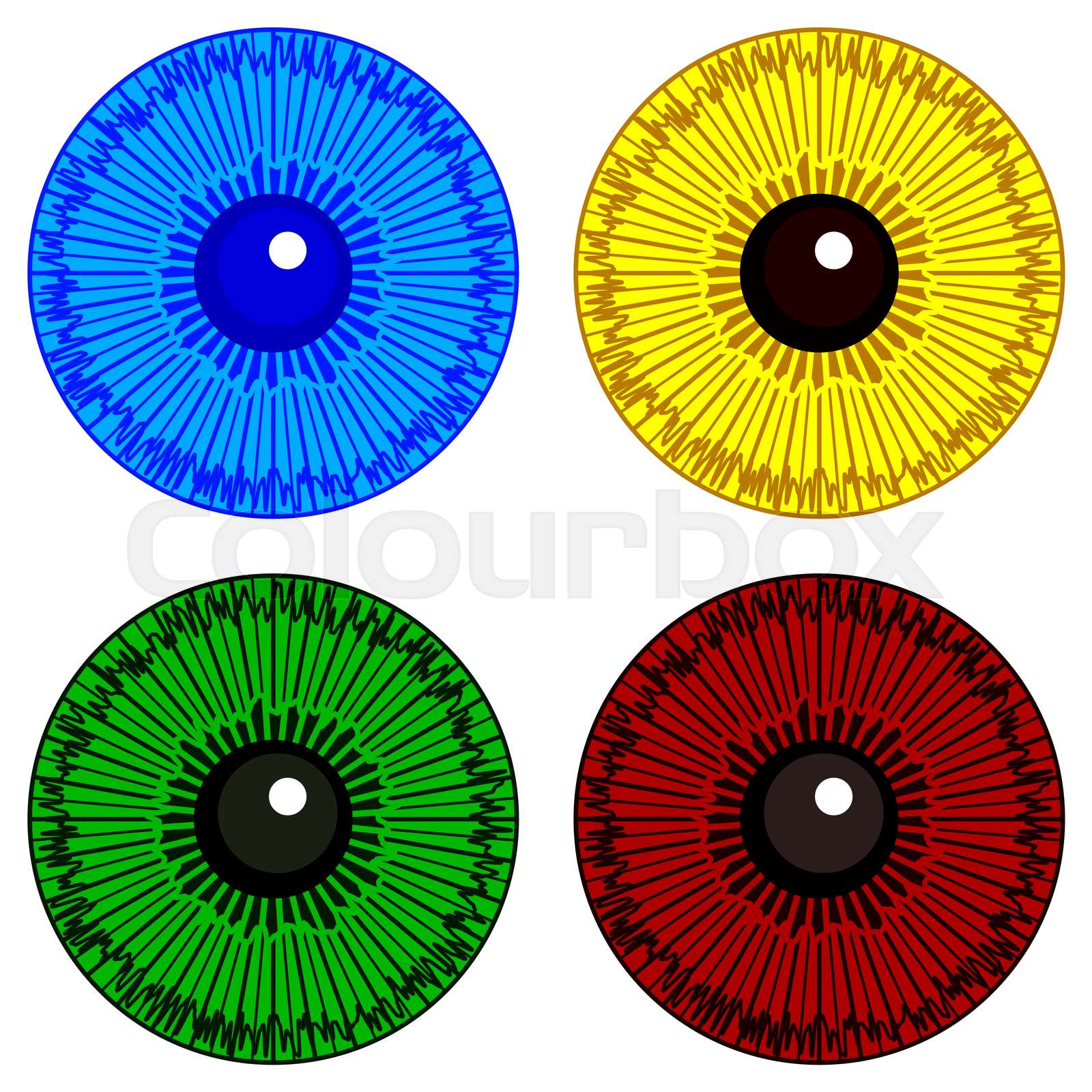 Eye iris set | Stock vector | Colourbox