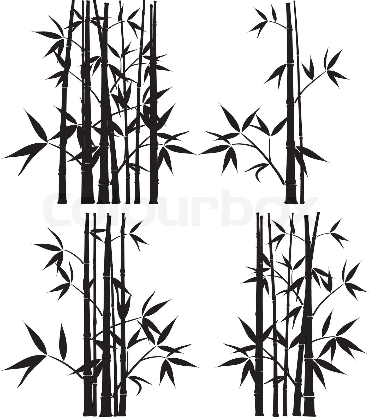 Bamboo , Vektor-Illustration | Stock-Vektor | Colourbox