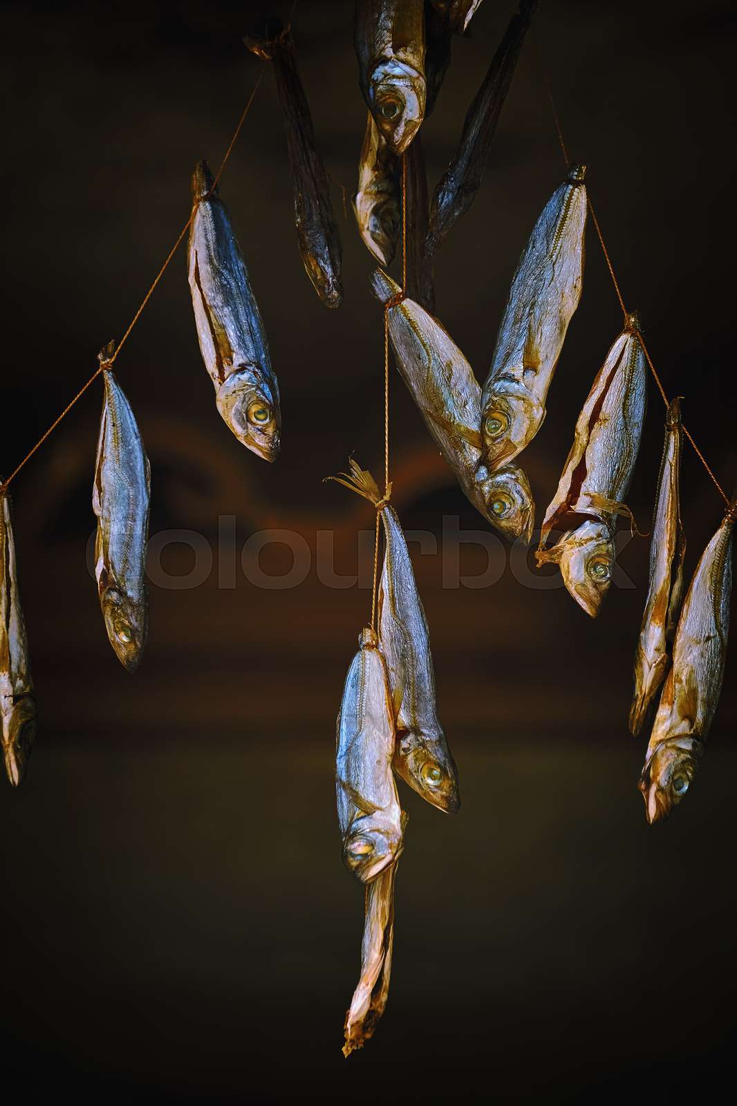 Dried Fish Hanging on Rope | Stock image | Colourbox