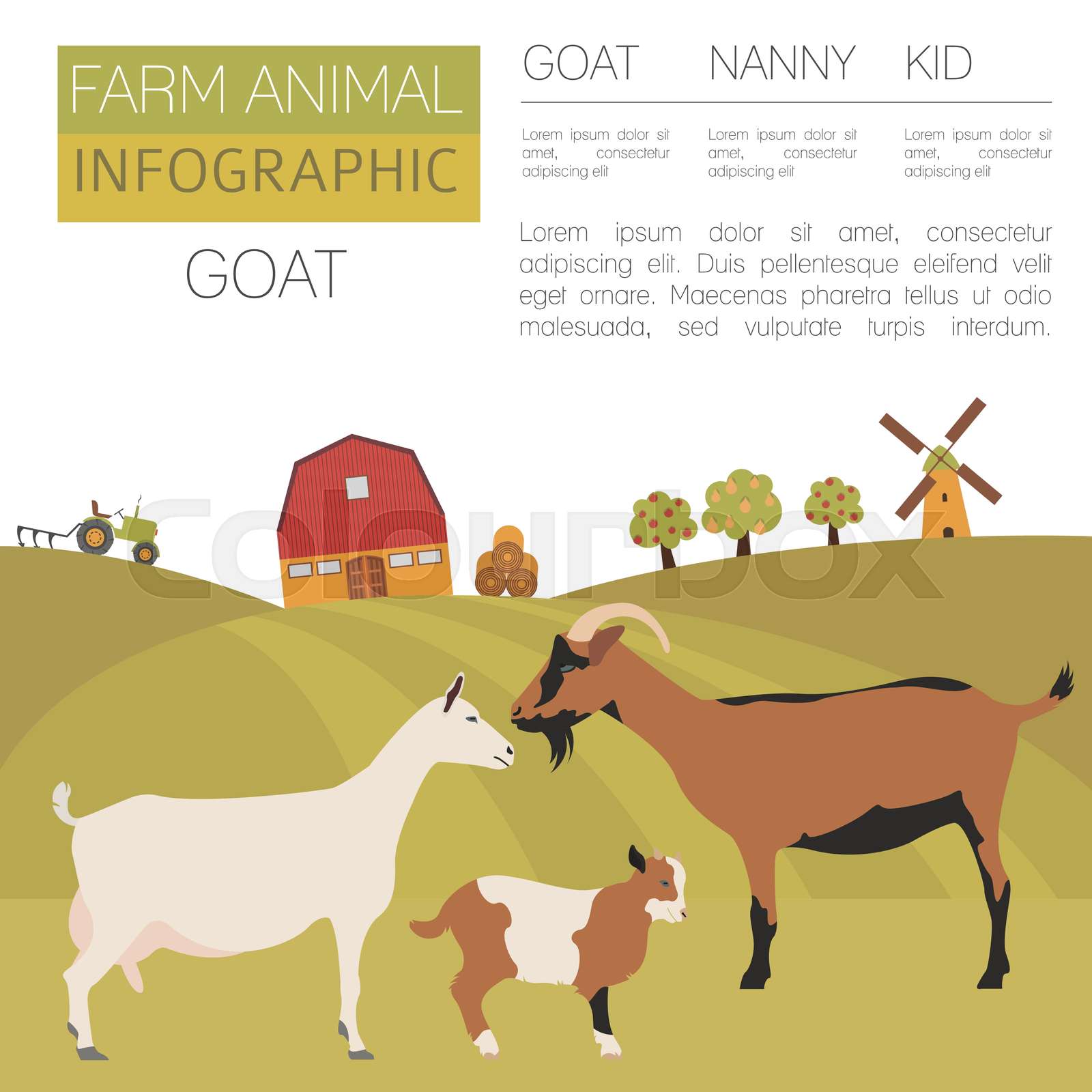 Goat farming infographic template. Animall family. Flat design | Stock ...