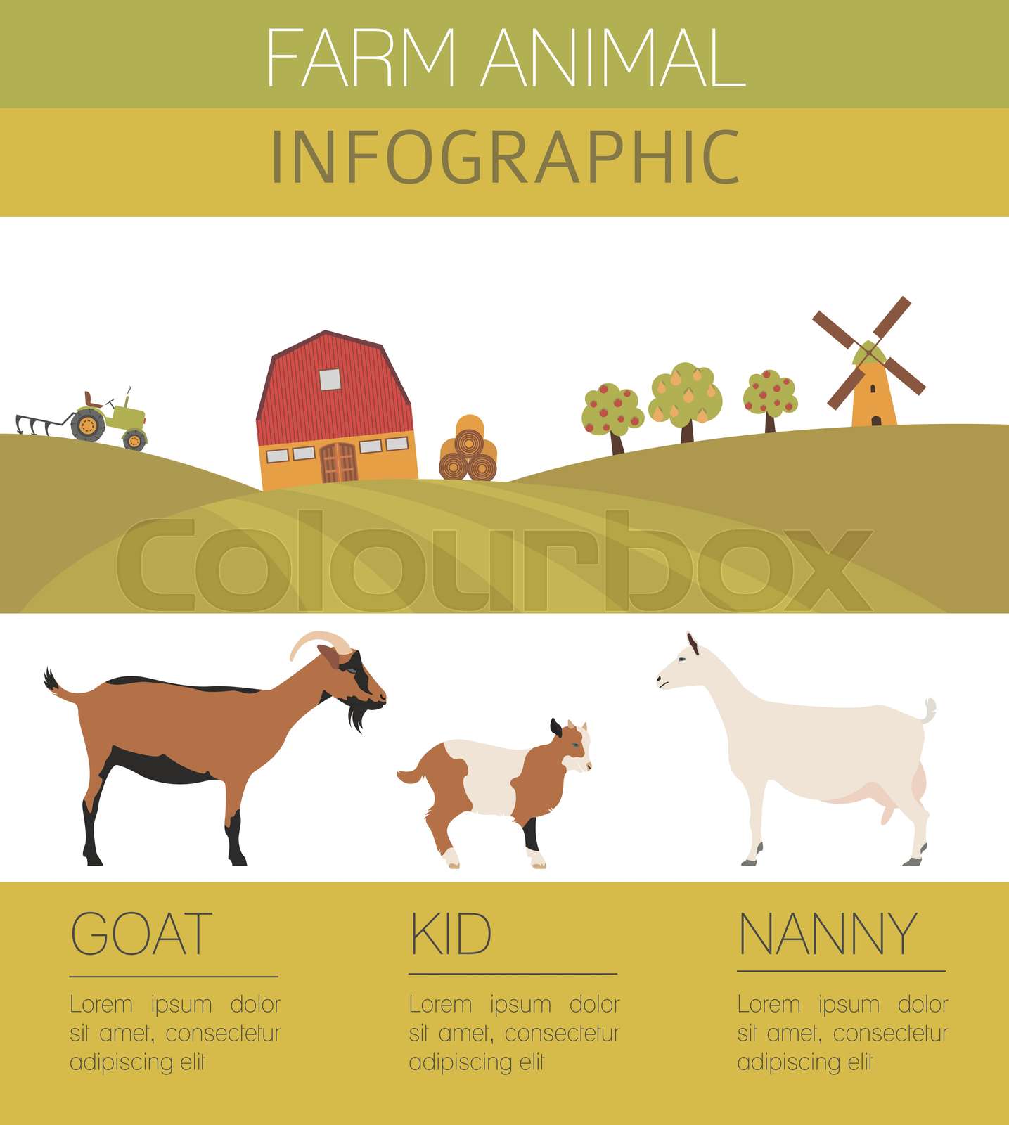 Goat farming infographic template. Animall family. Flat design | Stock ...
