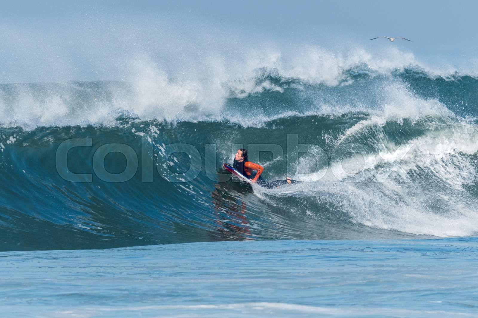 Bodyboarder in action | Stock image | Colourbox