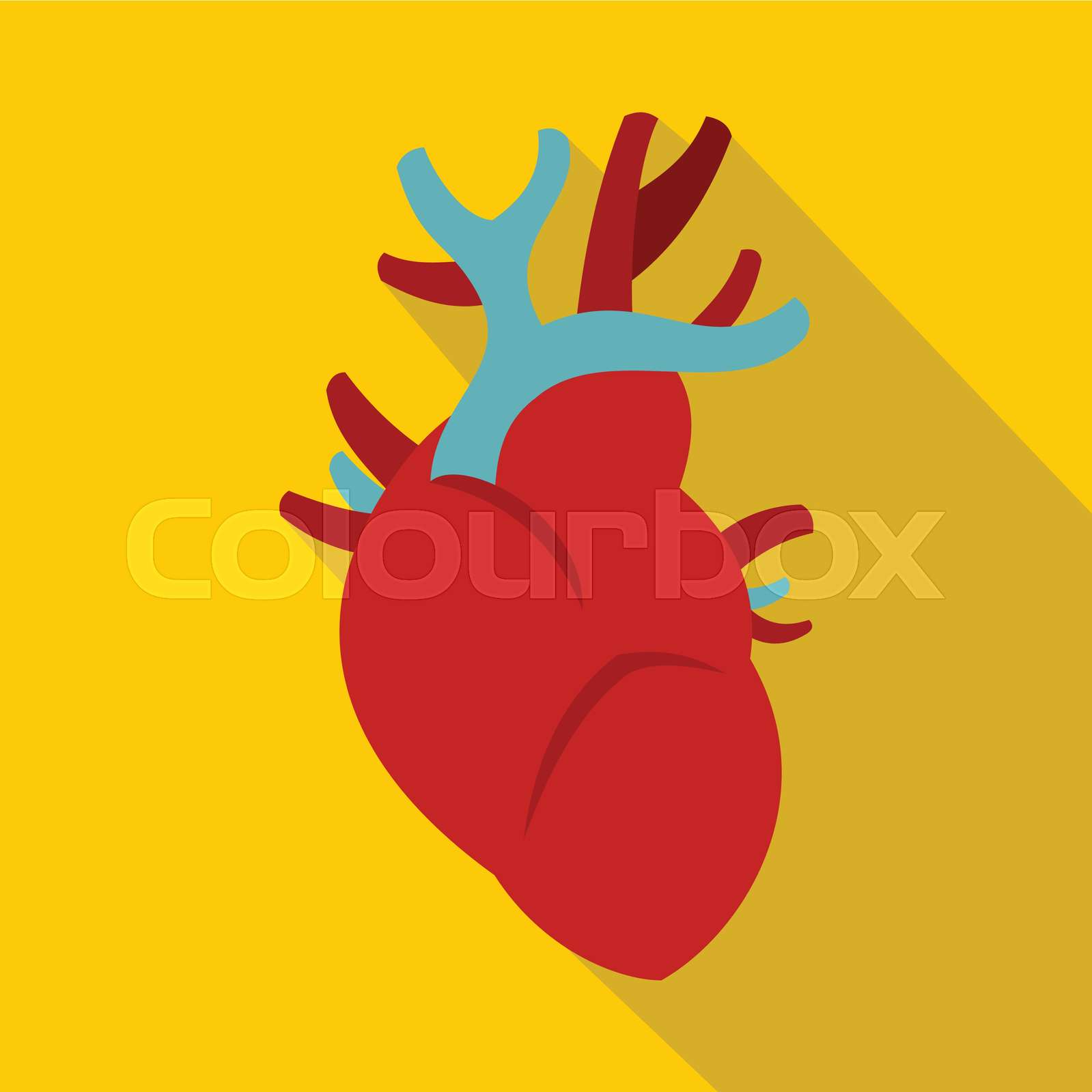 anatomisk, hjerte, ikon | Stock vektor | Colourbox