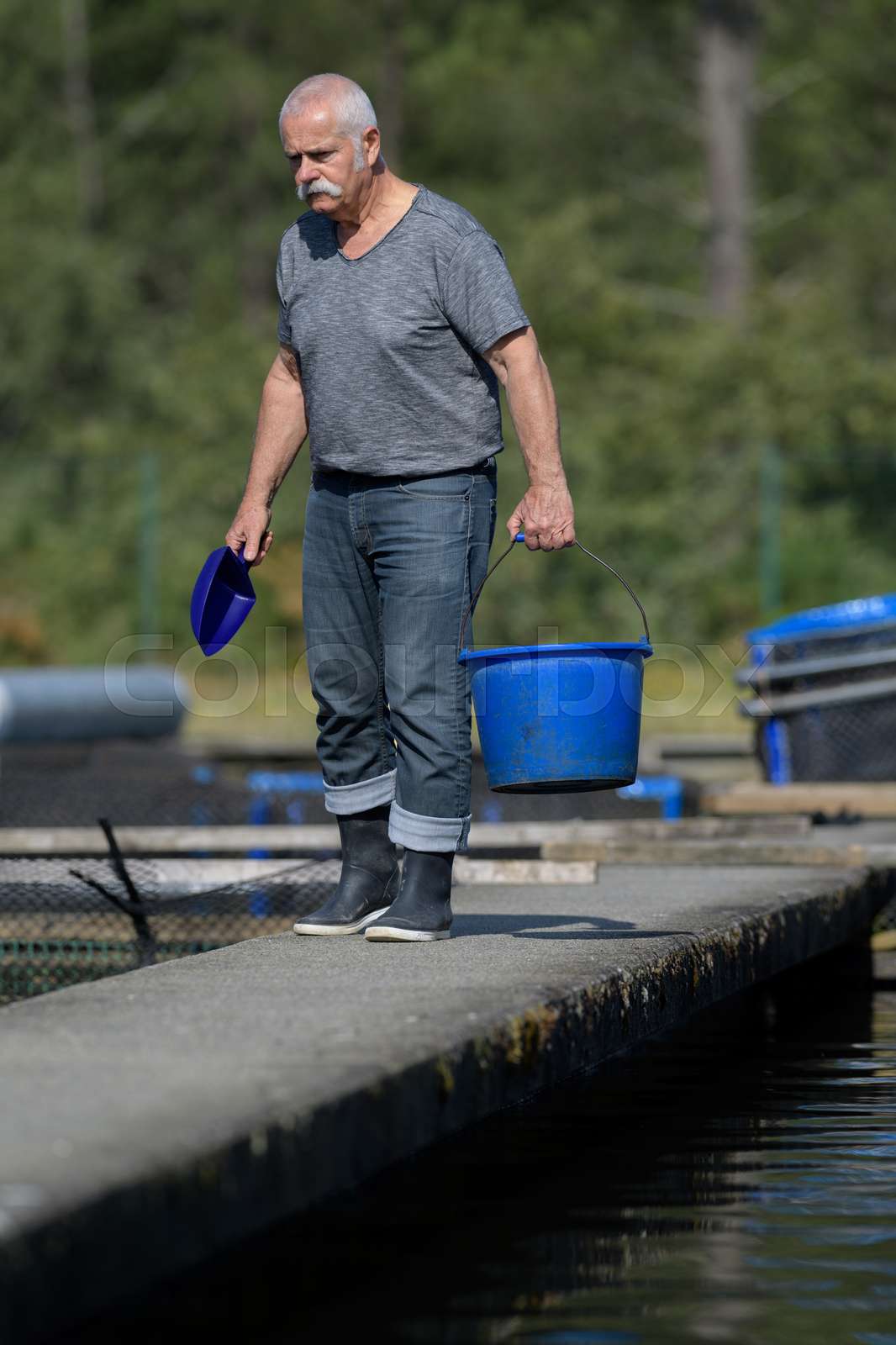 old man fish farm worker carries a bucket | Stock image | Colourbox