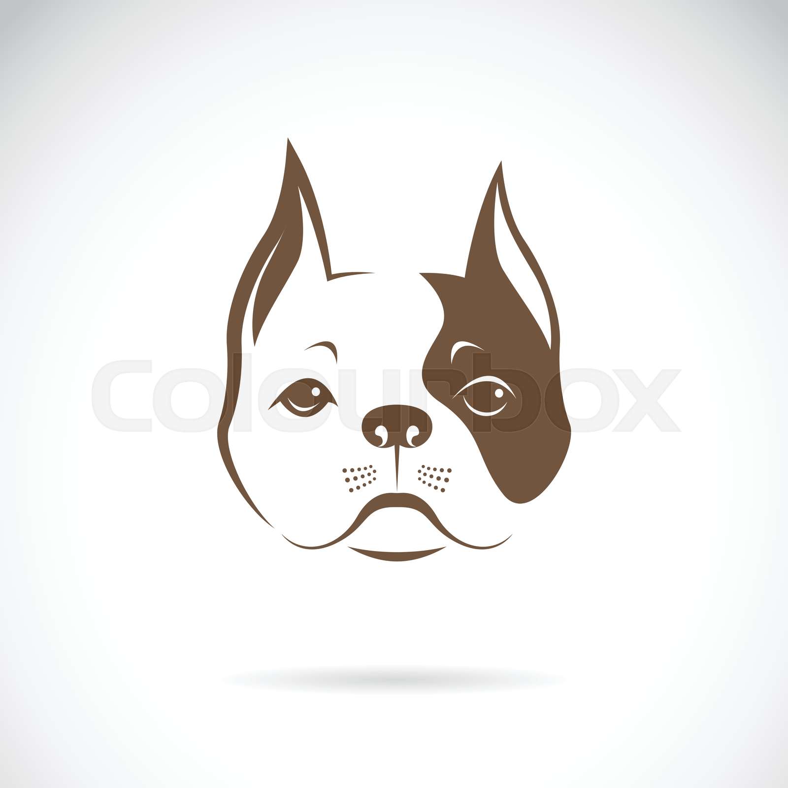 boston, terrier, logo | Stock-Vektor | Colourbox