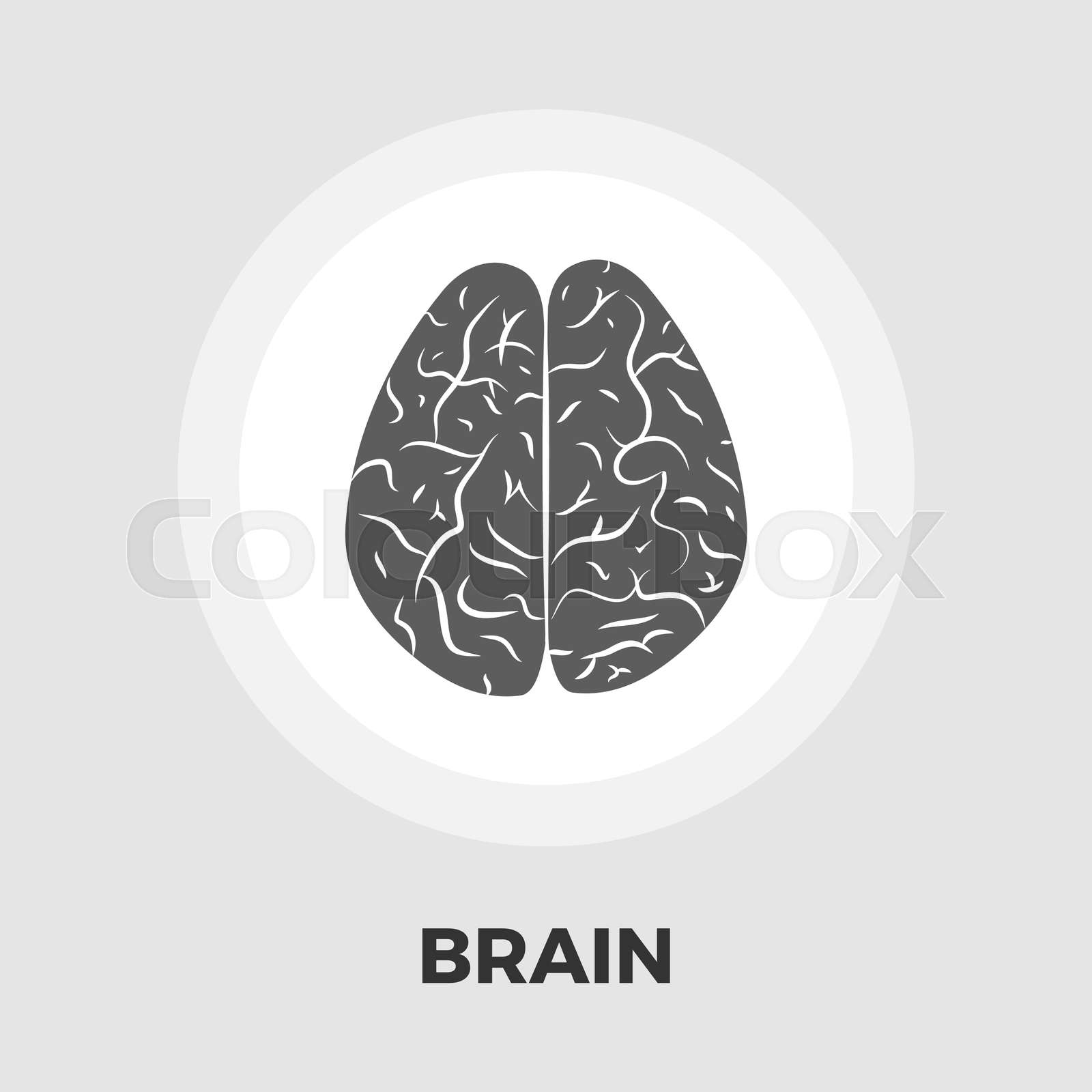 Brain flat icon | Stock vector | Colourbox