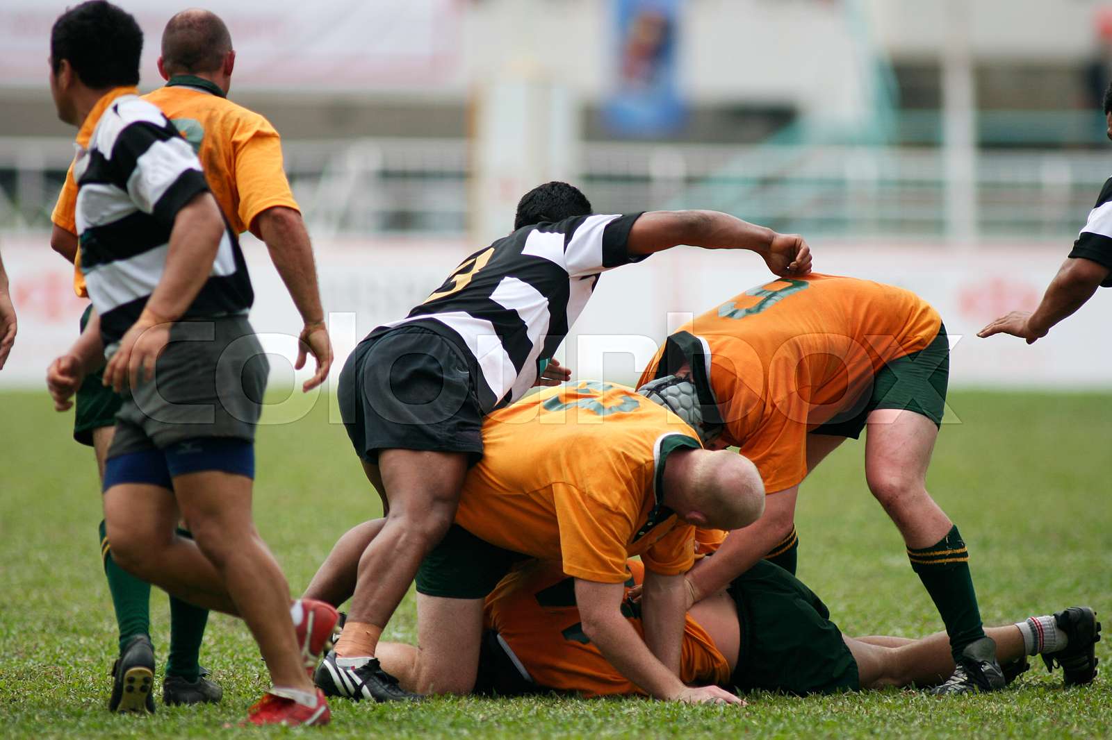 Rugby | Stock image | Colourbox