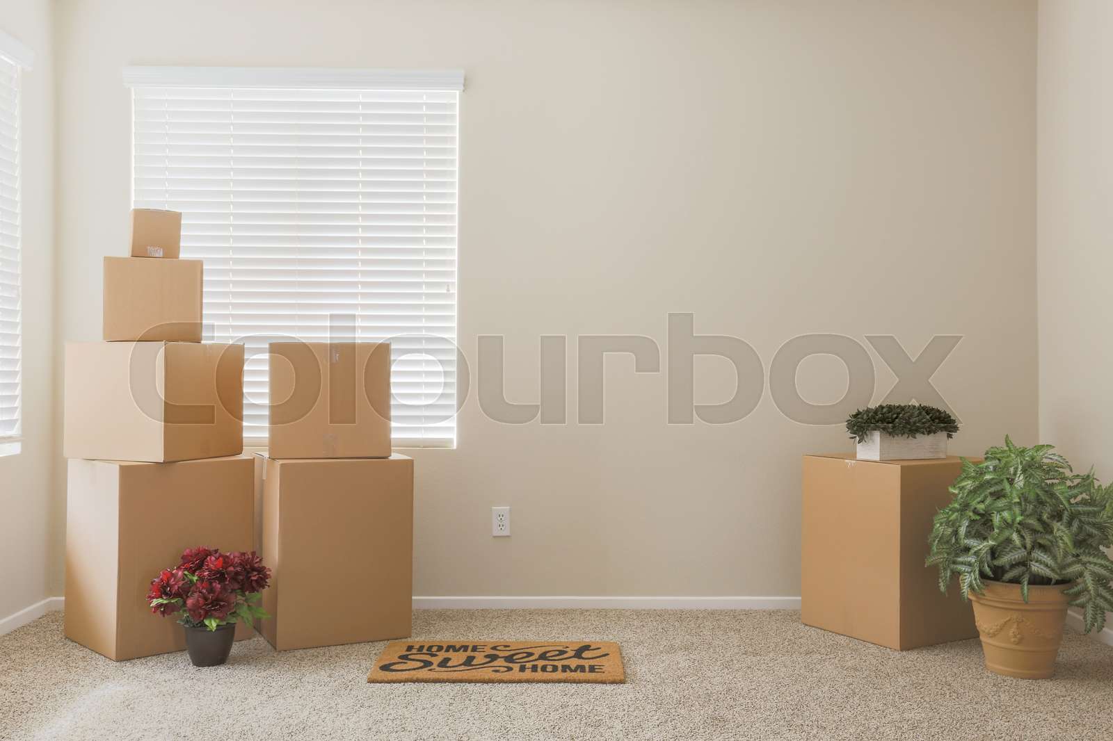 Variety of Packed Moving Boxes In Empty Room | Stock image | Colourbox