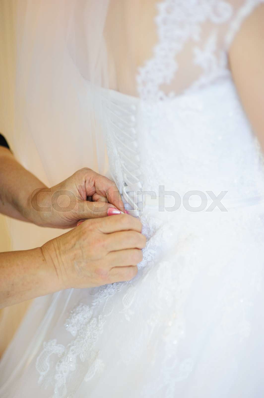 bride getting dressed on her wedding day | Stock image | Colourbox