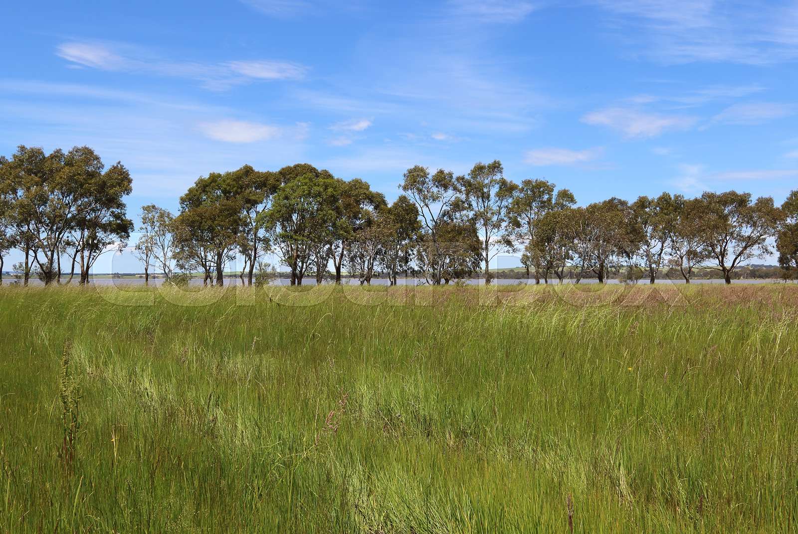 Lake Burrumbeet in central western Victoria Australia | Stock image ...