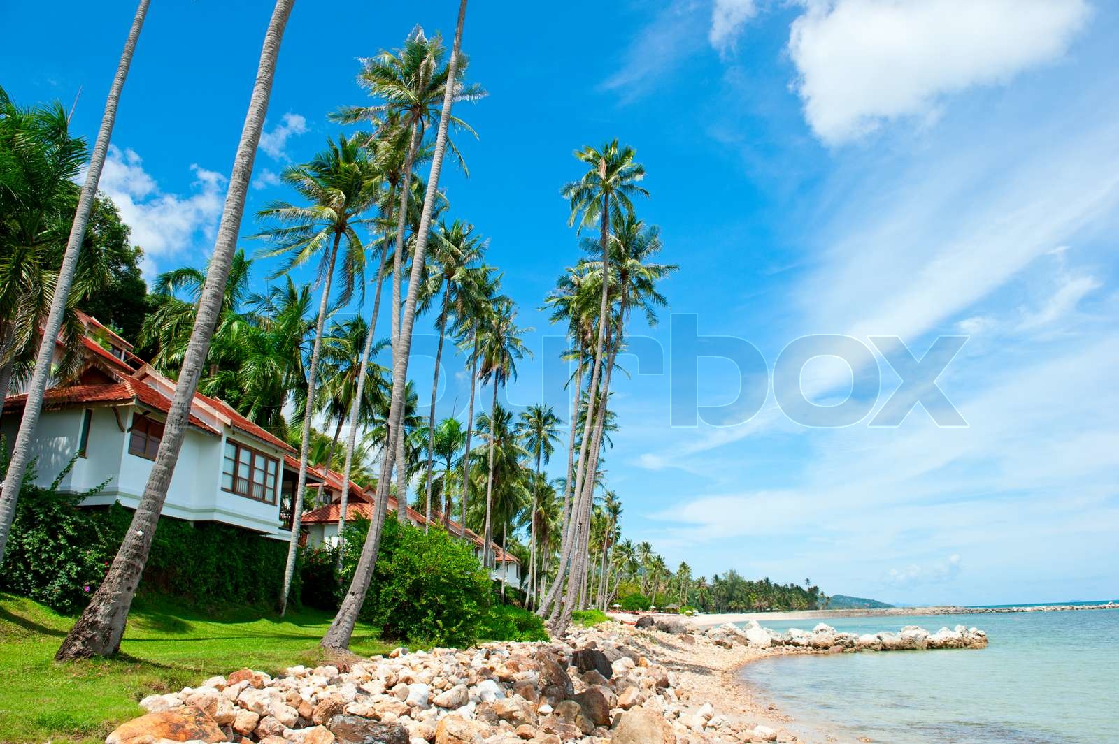 Haus mit Palmen am Strand | Stock Bild | Colourbox