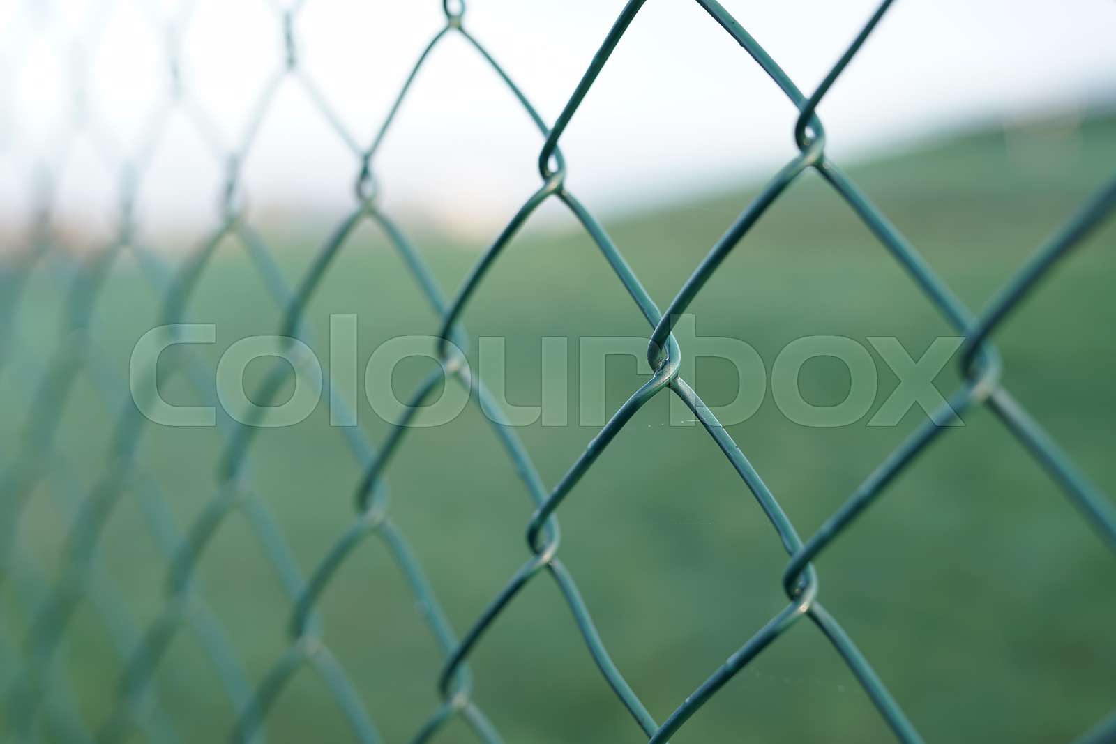 Wire mesh fence | Stock image | Colourbox