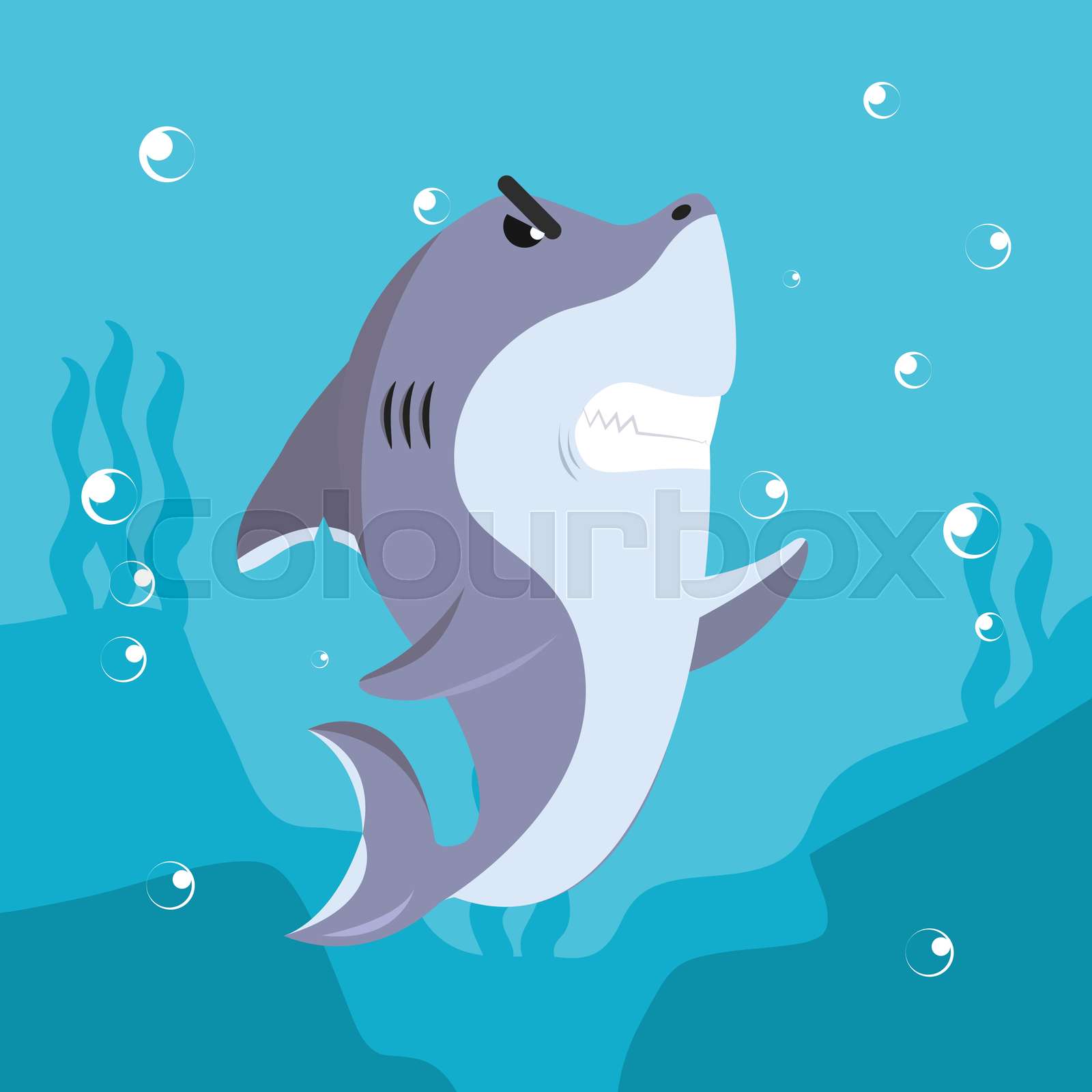 shark angry vector illustration design | Stock vector | Colourbox
