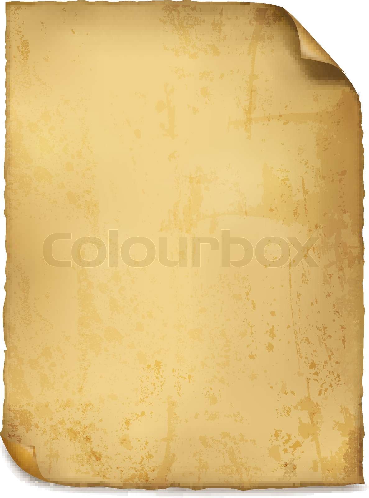 Old paper. Vector. | Stock vector | Colourbox