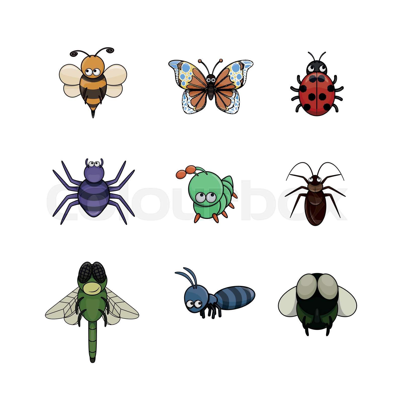 Insect Illustration Design Collection Stock Vector Colourbox
