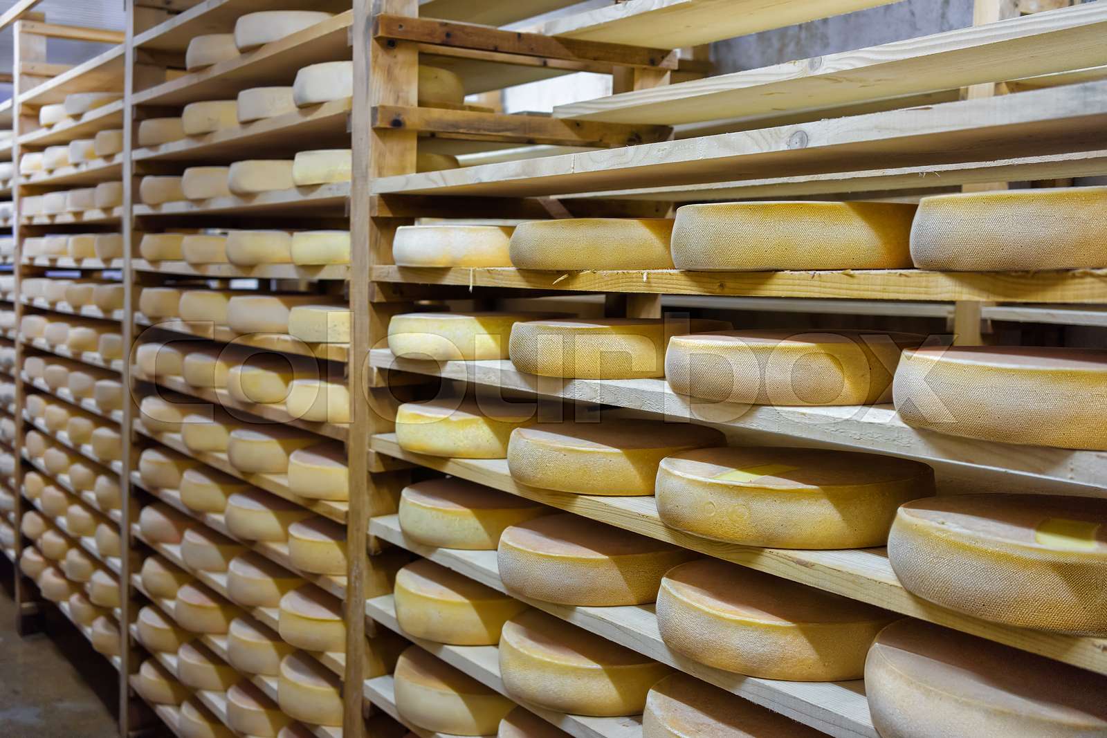 Shelves of aging Cheese on ripening cellar Franche Comte dairy | Stock ...