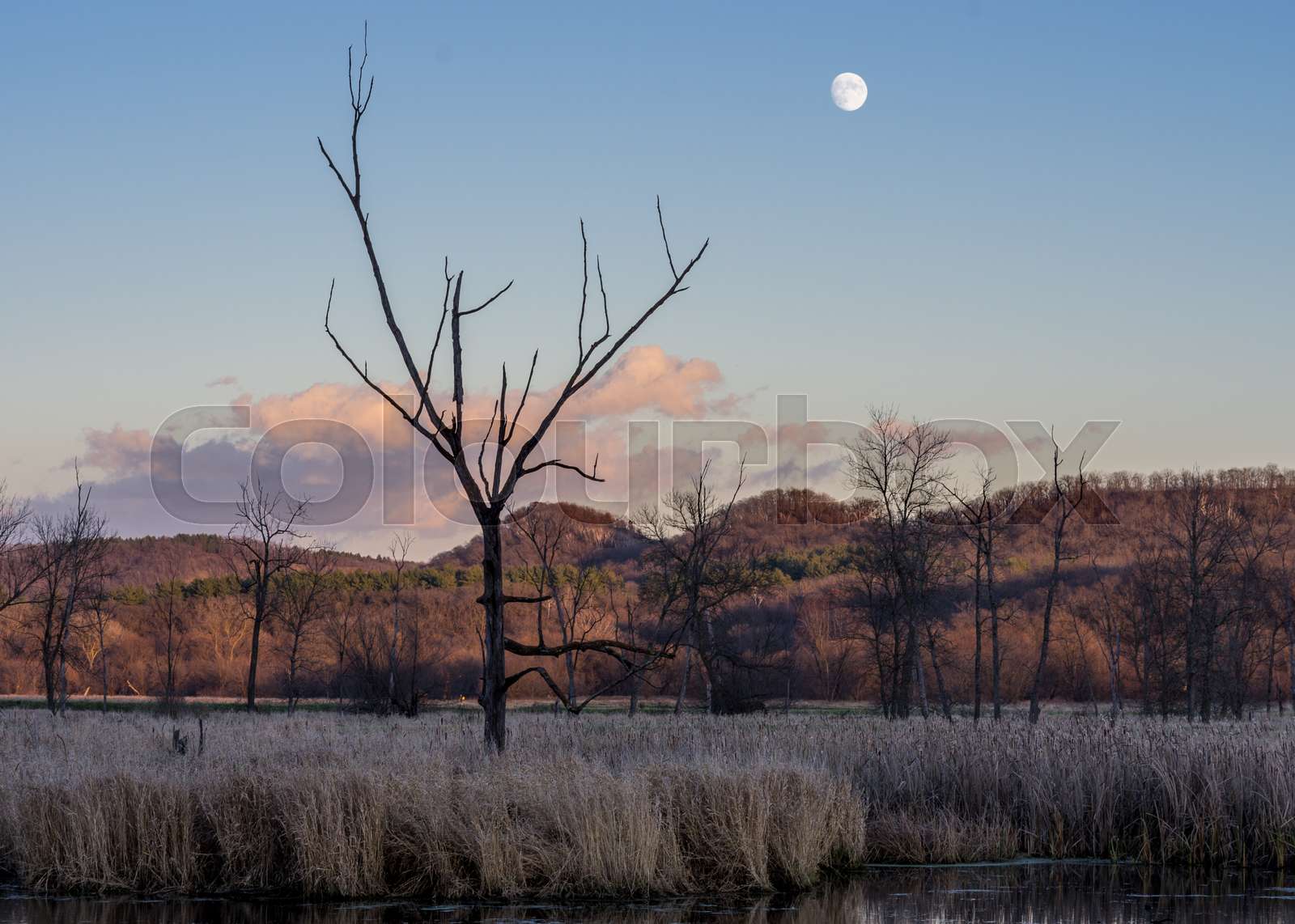 Moonrise in the Whitewater River Valley | Stock image | Colourbox