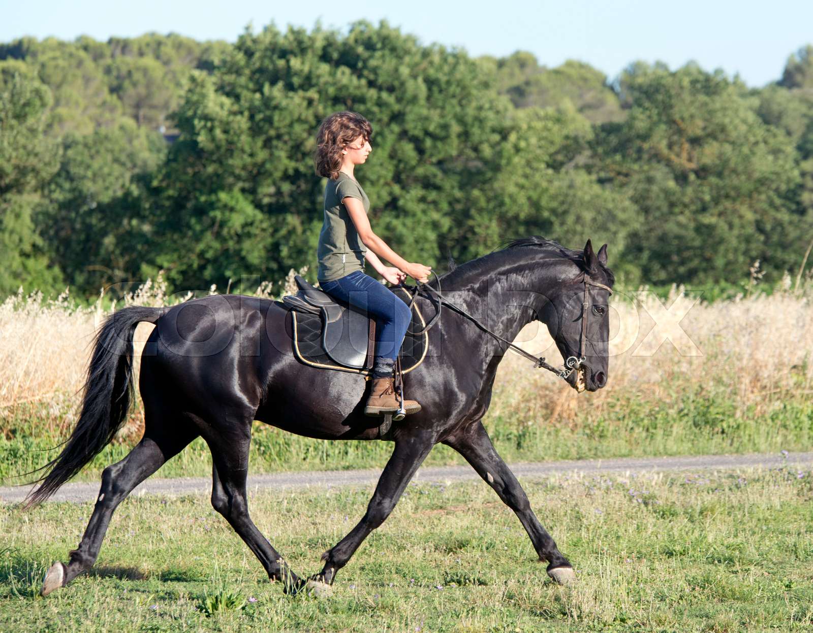 young riding girl | Stock image | Colourbox