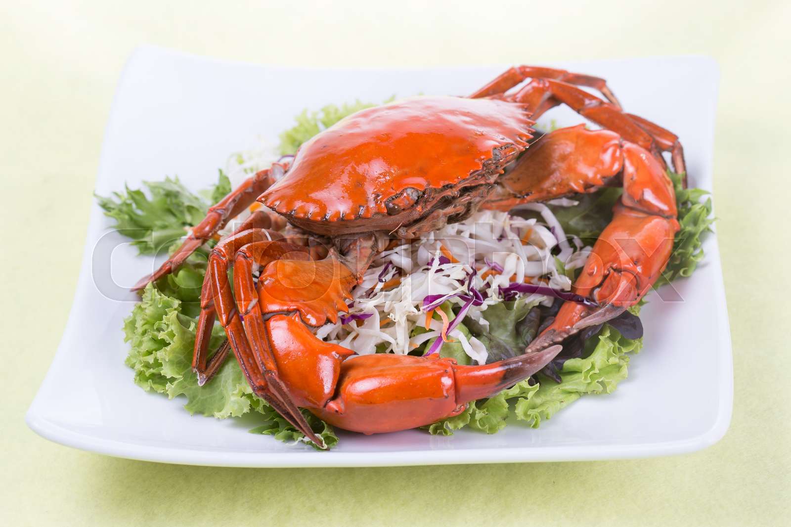 Steamed Crab | Stock image | Colourbox