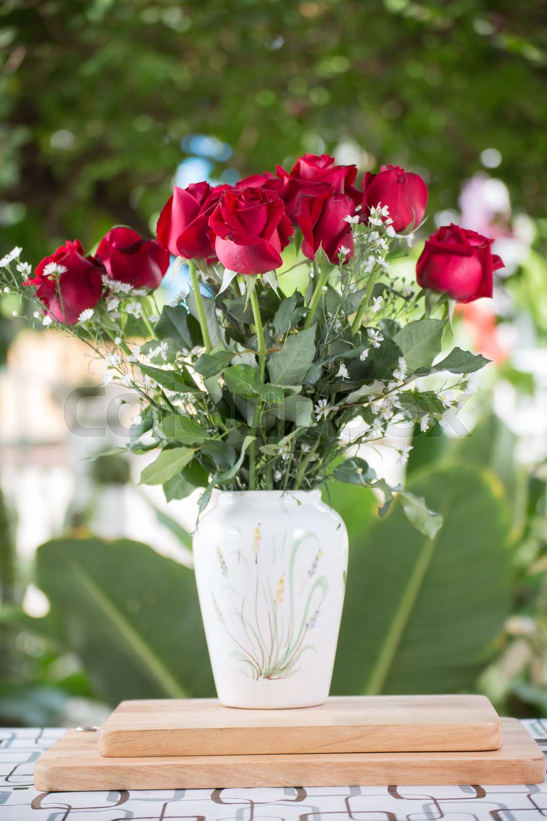 Red flowers in white jug | Stock image | Colourbox