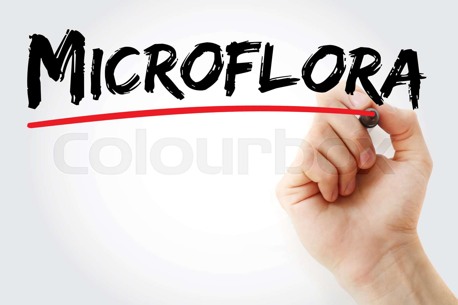 Hand writing Microflora with marker | Stock image | Colourbox