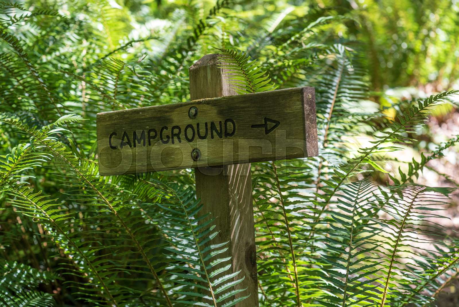 Wooden Campground Sign | Stock image | Colourbox