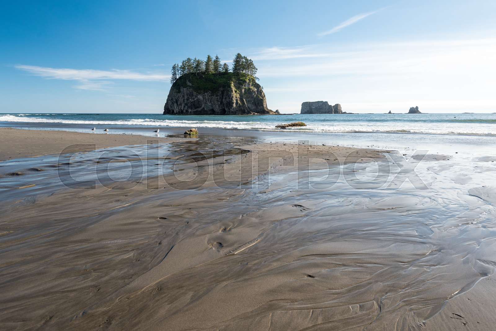 Island at Second Beach in Olympic National Park | Stock image | Colourbox