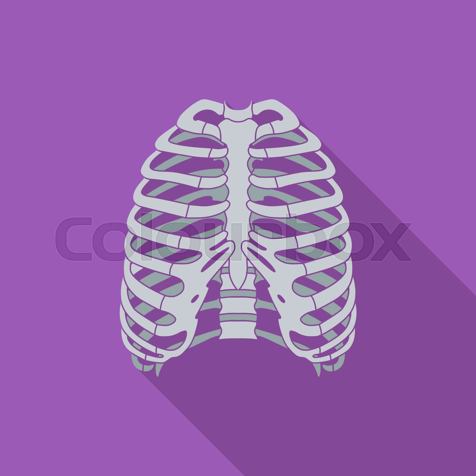 Icon of human thorax. | Stock vector | Colourbox