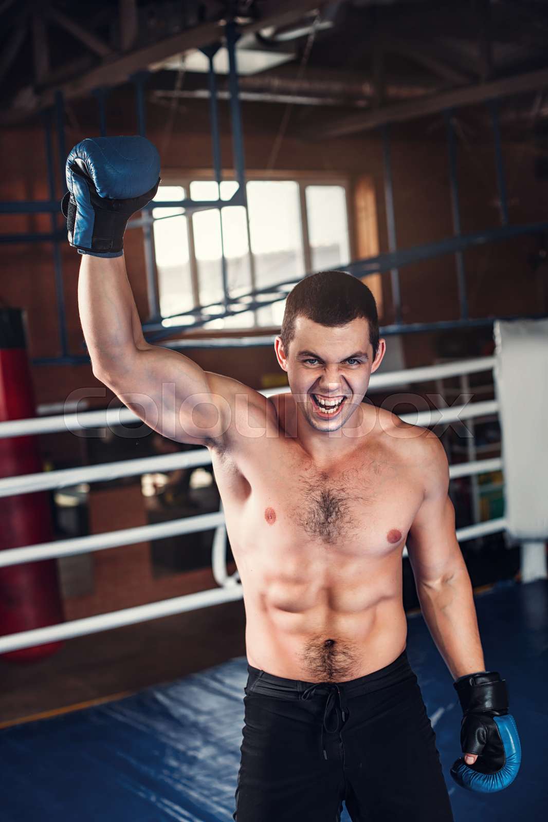 Boxer with an angry face has raised a hand up. | Stock image | Colourbox