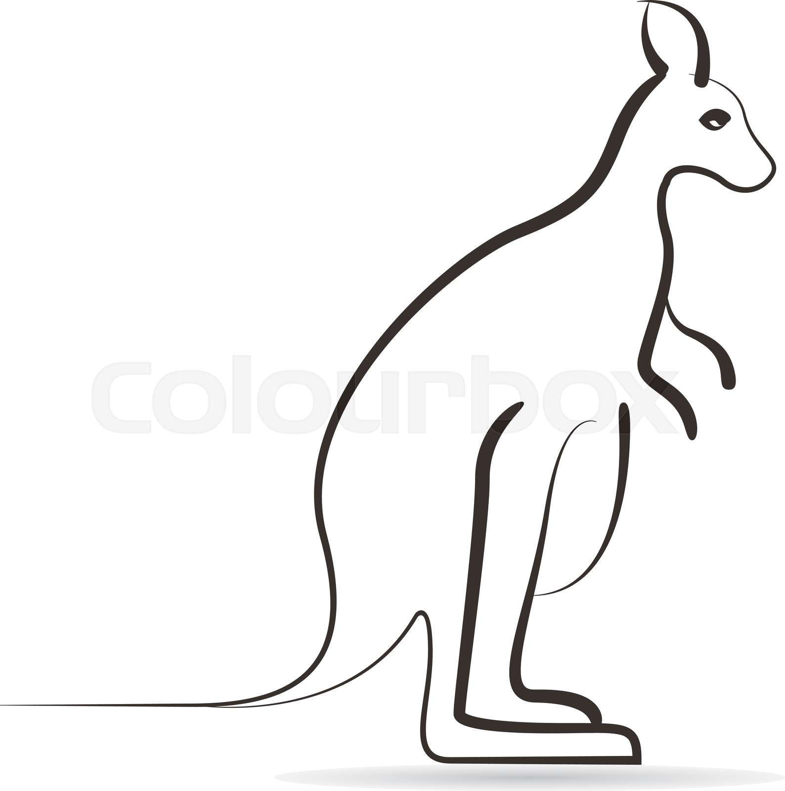 kangaroo | Stock vector | Colourbox