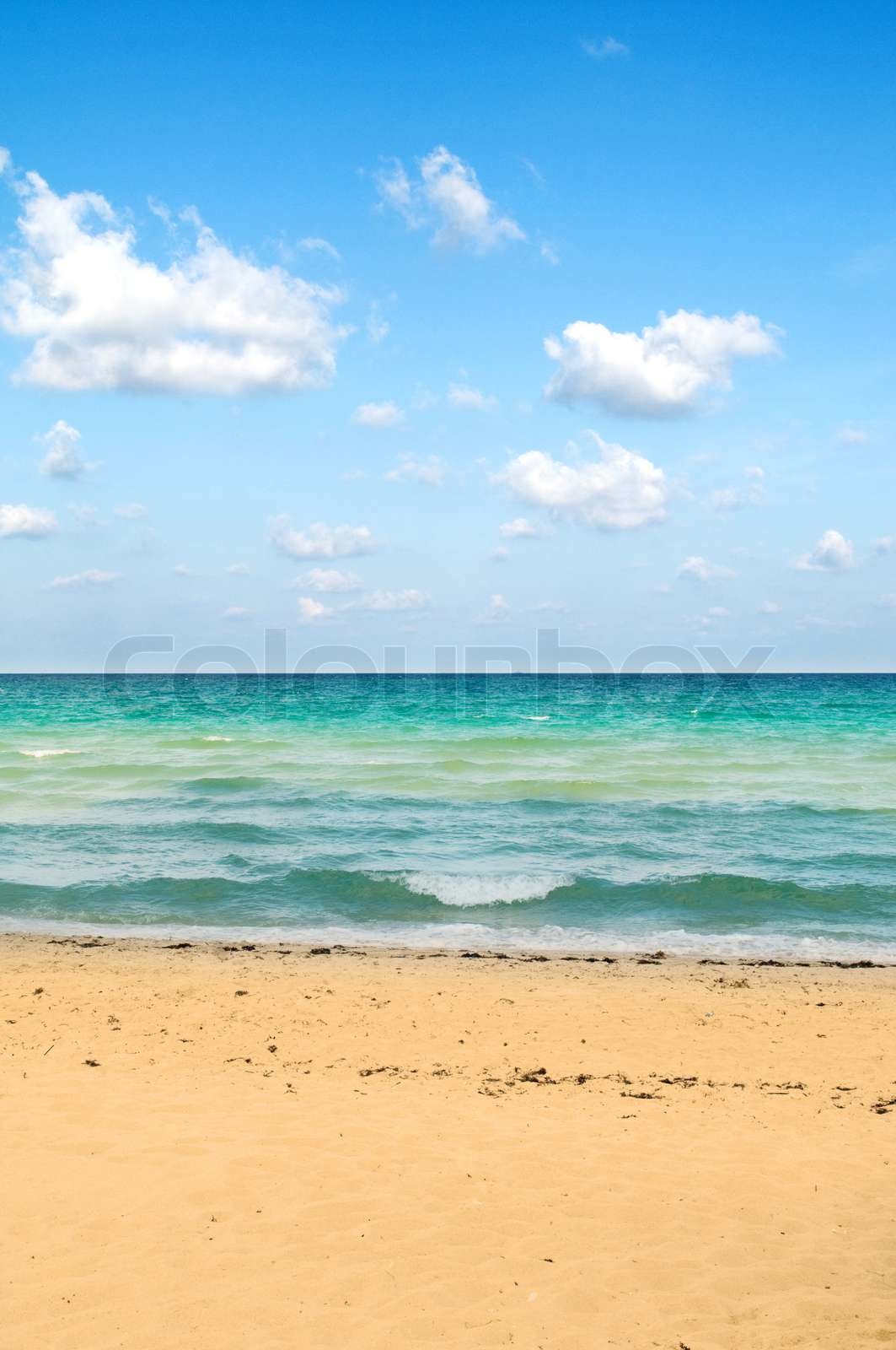 Sand beach on the bright summer day | Stock image | Colourbox