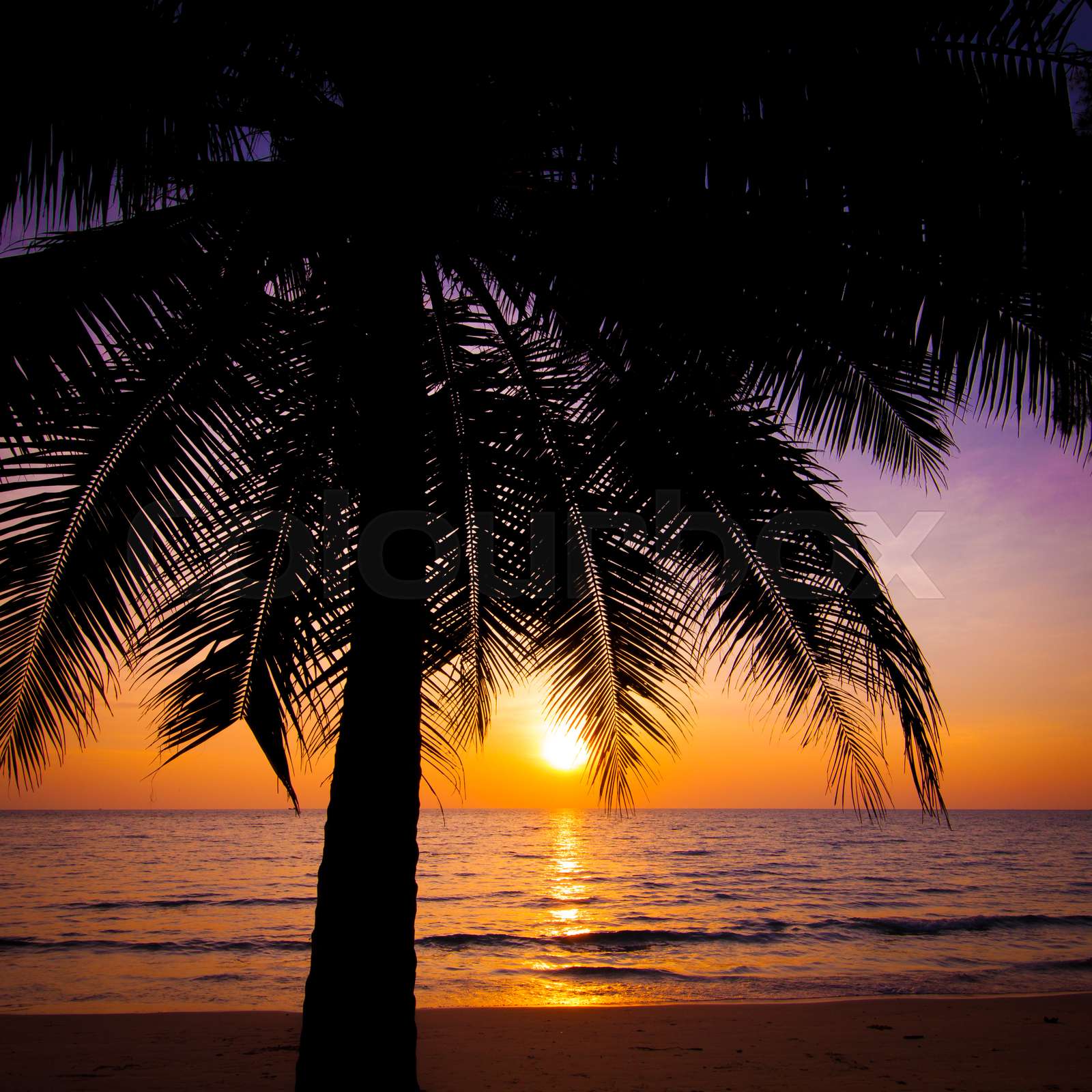 sunset landscape. beach sunset. sunset on the beach | Stock image ...